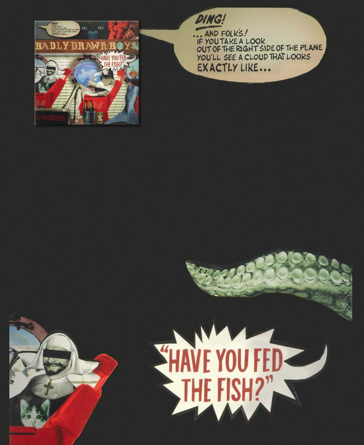 Test Schallplatte - Badly Drawn Boy